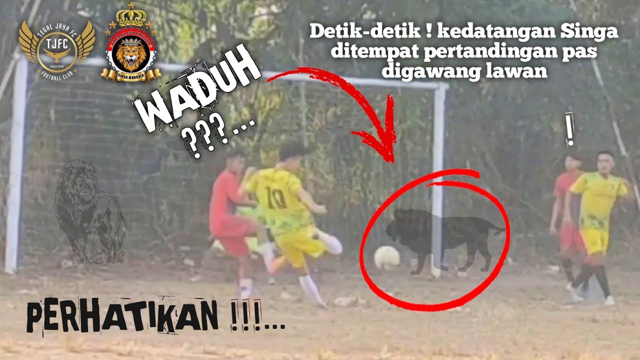 Turnamen sepakbola Agustusan 2023 antar gang kampung kenari menyambut ...
