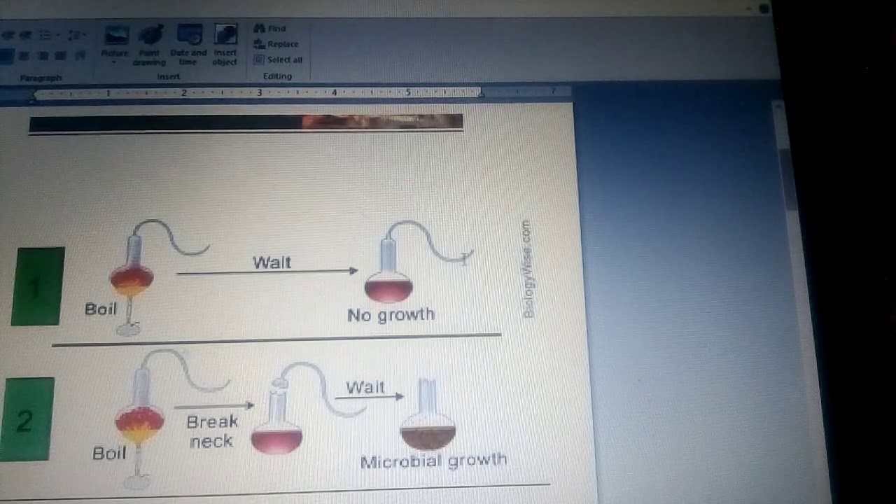 Pasteur's experiment ..about biogenesis and abiogenesis - YouTube
