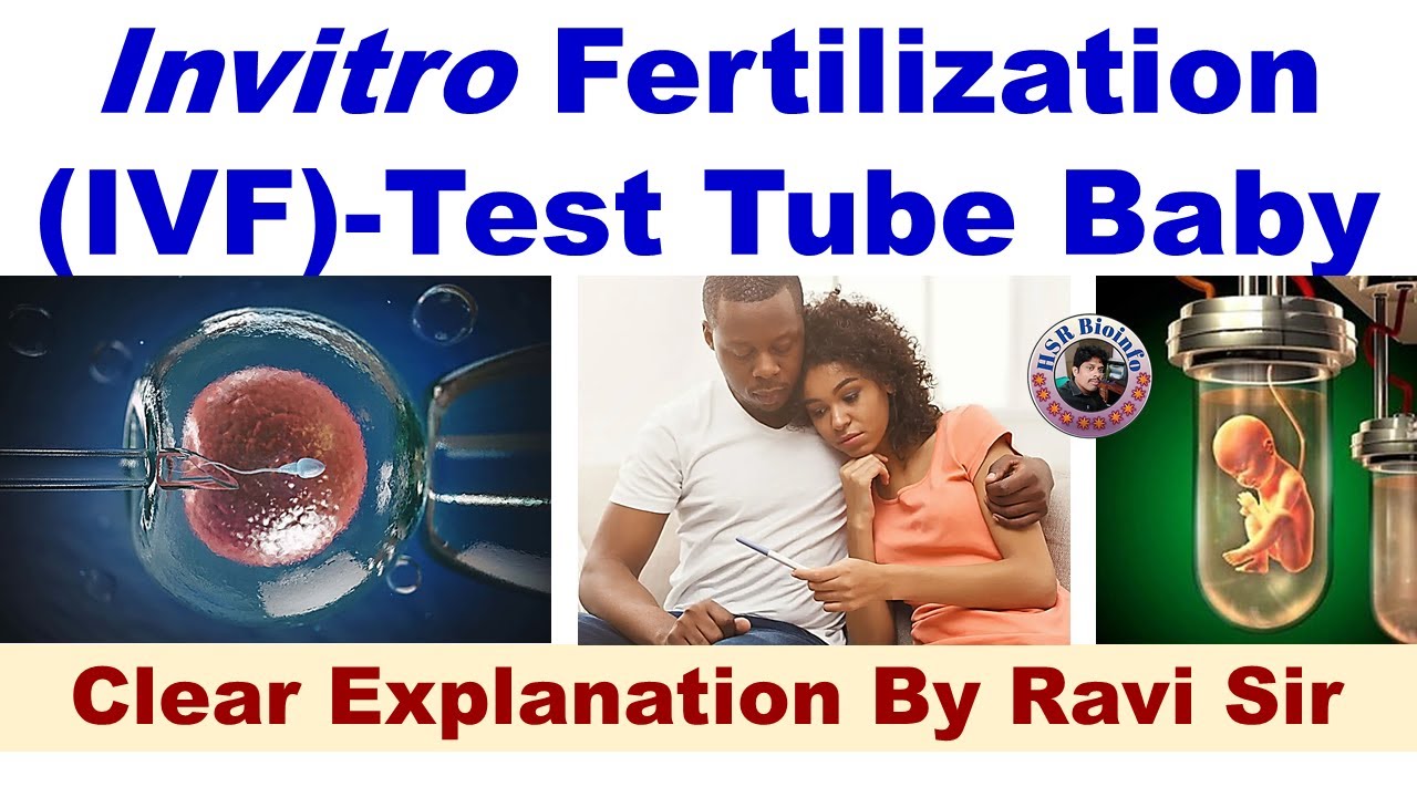 Invitro Fertilization (IVF) | Test tube Baby | HSR Bioinfo - YouTube