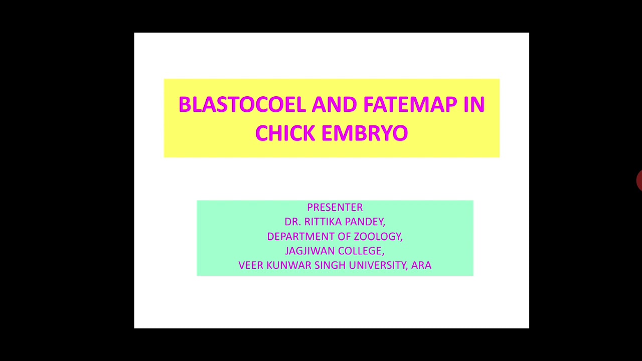 BLASTOCOEL AND FATE MAP IN CHICK EMBRYO - YouTube