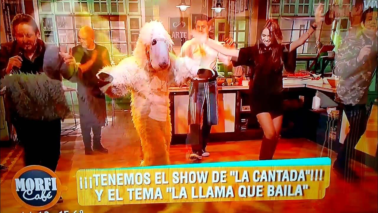 La Cantada - La Llama que baila _ Morfi Café (Telefe) 29-08-2016 - YouTube