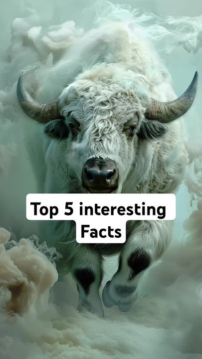 Top 5 Interesting Facts in telugu#shortsfeed #shorts #ytshorts #telugufacts #ytviral# ...