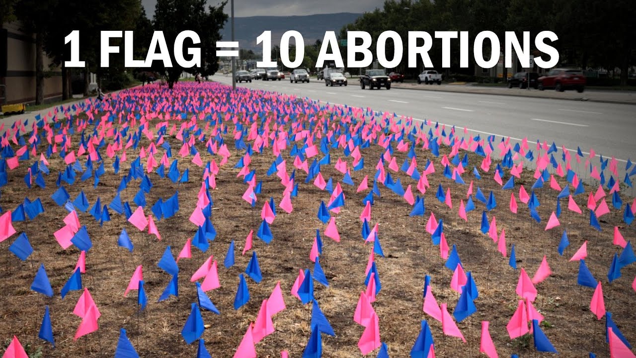 Kelowna 10,000 flags pro-life display - YouTube