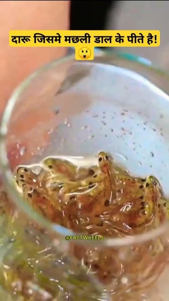 Japanese silver Fish Drink | Japanese Street Food | Japanese Cuisine # ...