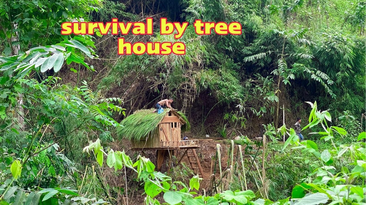Complete Tree House || And Roofed With Leaves To Prepare For The Next ...