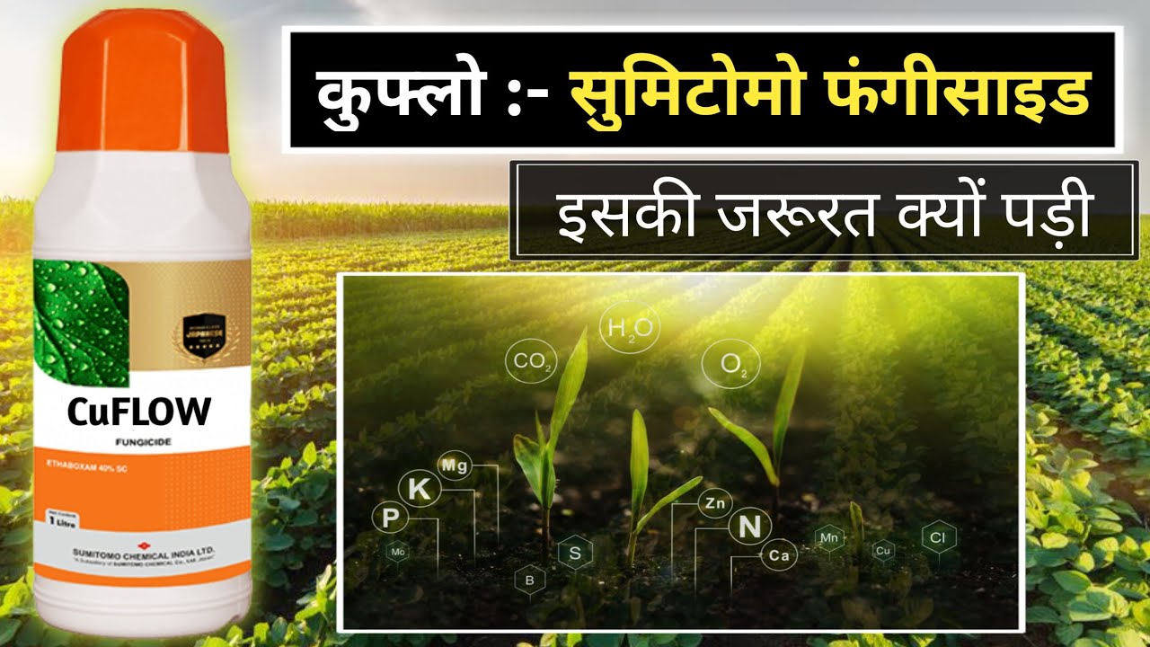 cuflow fungicide/ sumitomo new fungicide/ tribasic Copper Sulphate ...
