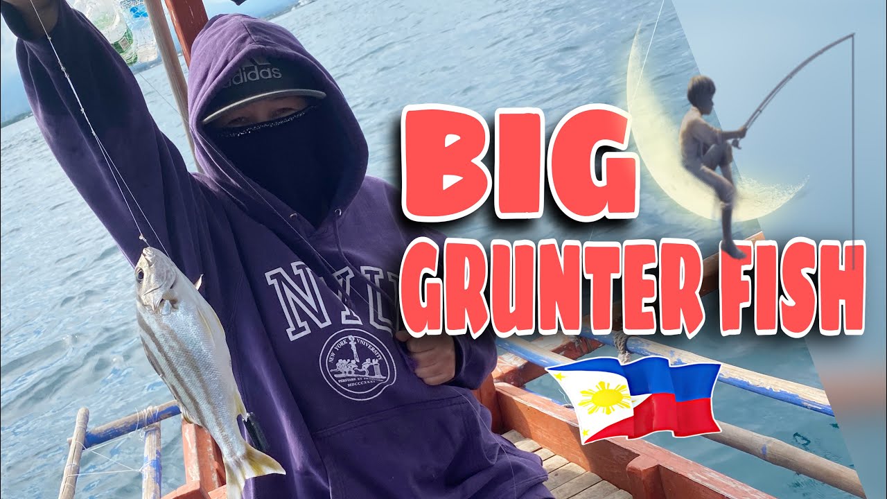 CATCHING BIG GRUNTER FISH AND MANY JOB FISH | CATCH AND COOK | CATCH ...