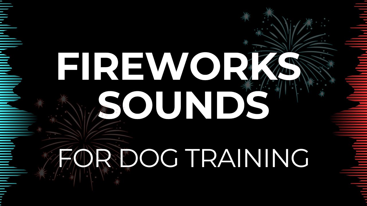 Fireworks Desensitization for Dogs | Stop Firework Anxiety & Fear - YouTube