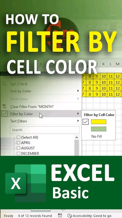 How to Filter by cell color in MS Excel | Excel Basic - YouTube