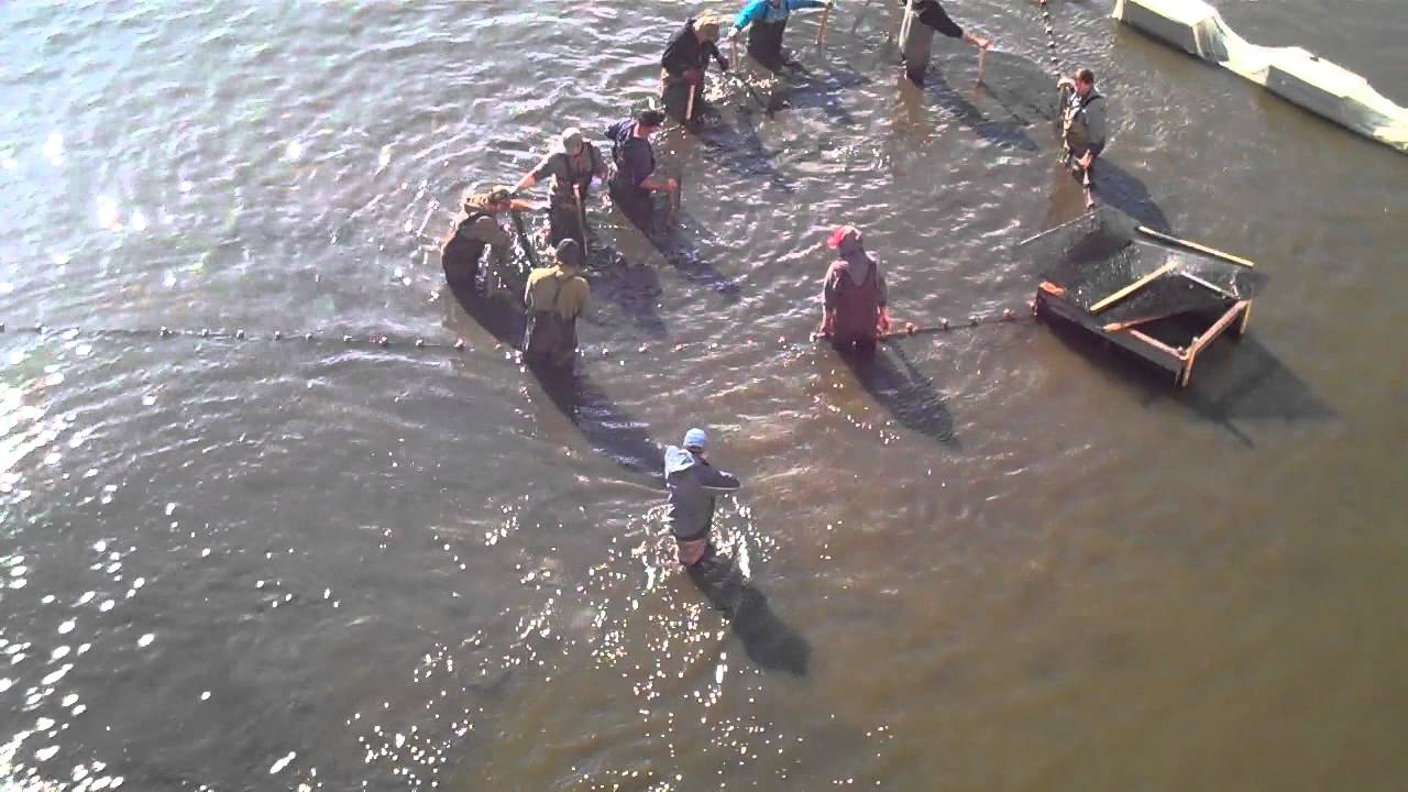 Alameda Dam Part 2 - YouTube