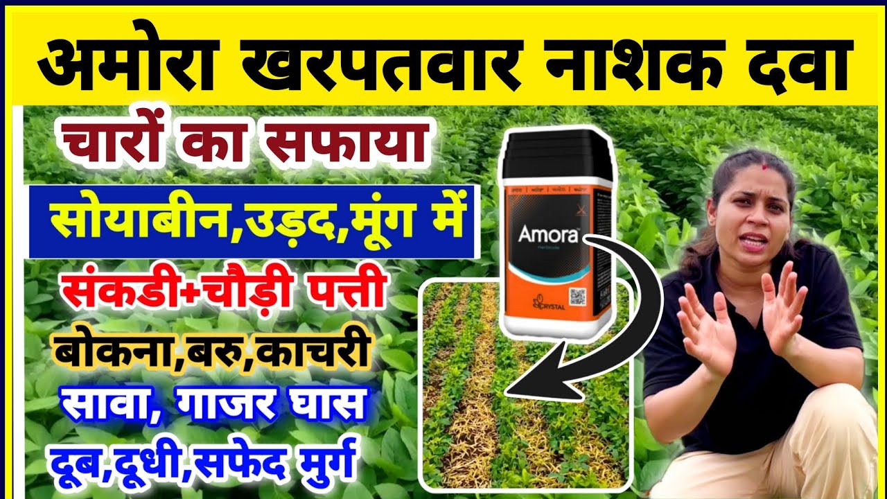Crystal Amora herbicide | Soyabean me kharpatwar nashak dawai | Amora ...