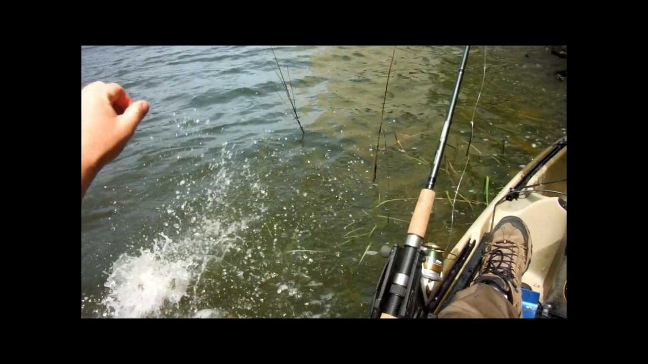 Owl Creek, Rudee Inlet, Virginia Beach, Kayak Fishing, Flounder ...