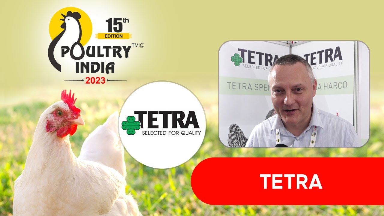 Tetra | Top-Feeding Fish | Poultry India 2023 | Hybiz tv - YouTube