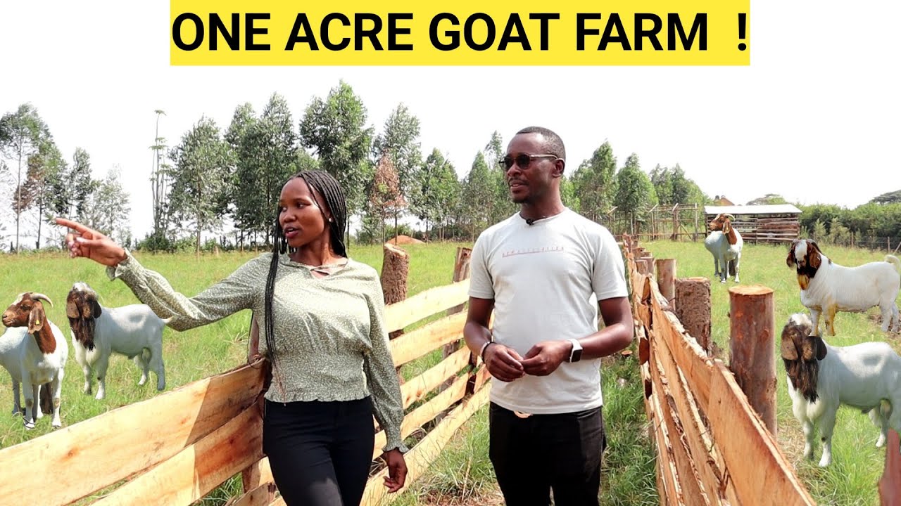 How He Makes PROFITS On An ACRE Of LAND! | Goat Demo FARM - YouTube