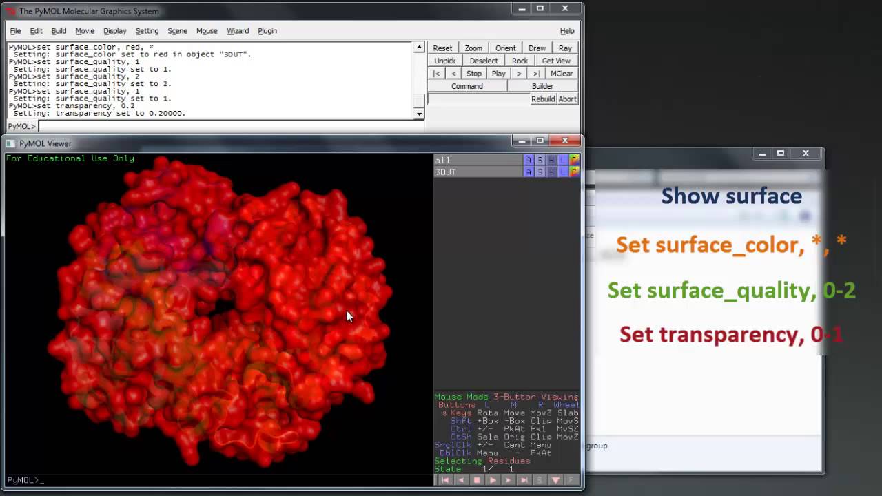 Visualising Proteins With Pymol Imaging Youtube