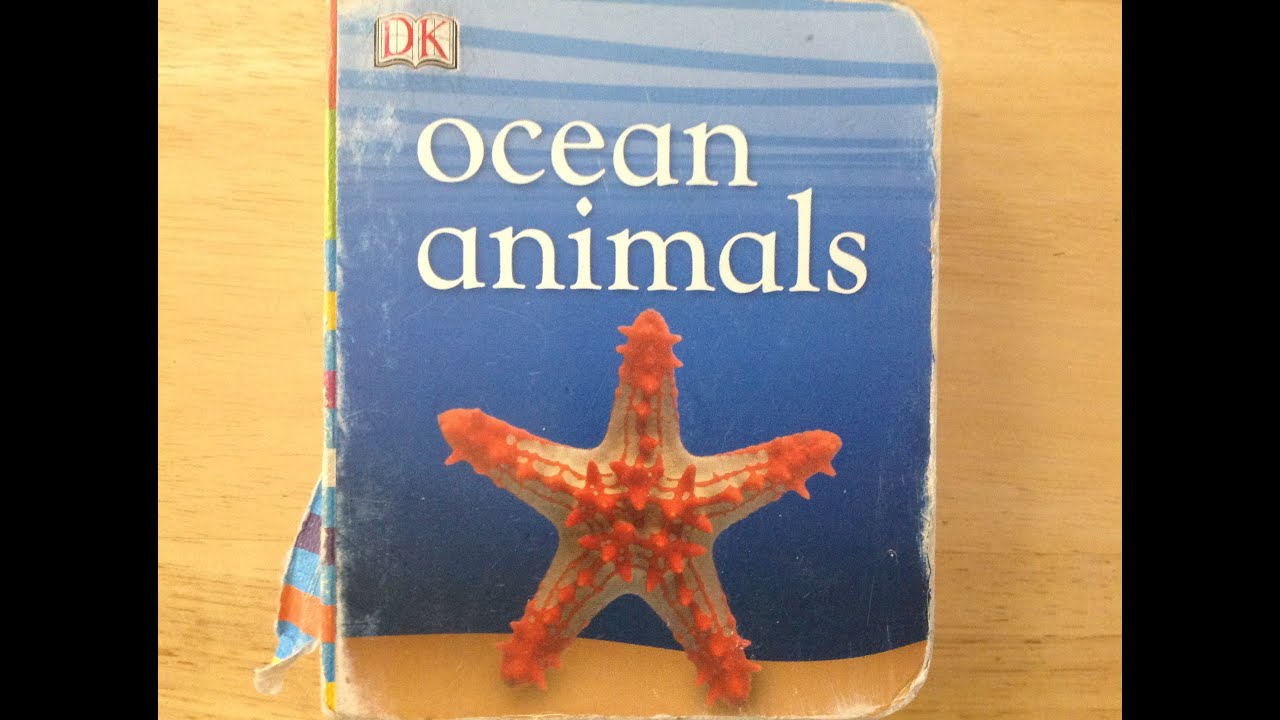 DK's Ocean Animals Read Aloud - YouTube