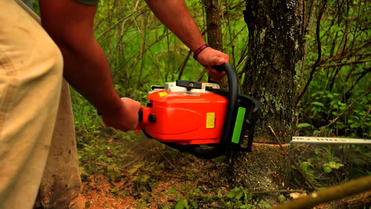 DIY Food Plots | Step 1 - YouTube