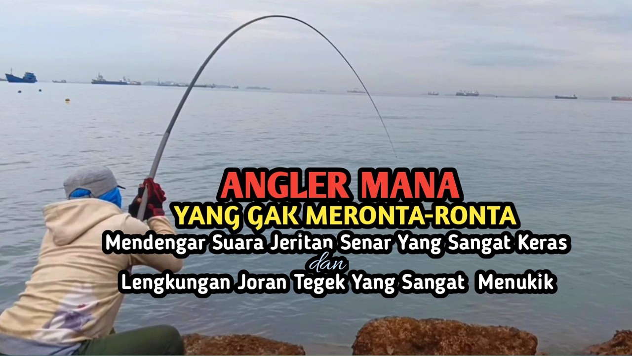 Super Ekstrim.! Senar Pancing Langsung Menjerit Saat Mancing Di Spot ...