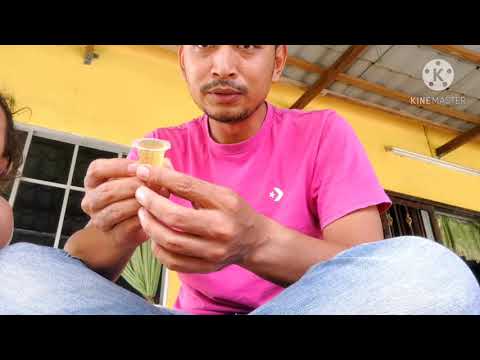 Tutorial buka sumi #tutorial#fail#buka#sumi#jelly