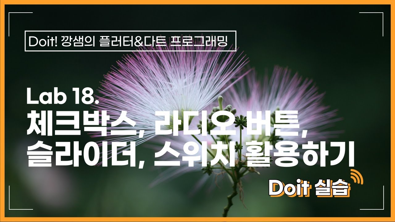 Lab 18. 체크박스, 라디오 버튼, 슬라이더, 스위치 활용하기 - YouTube