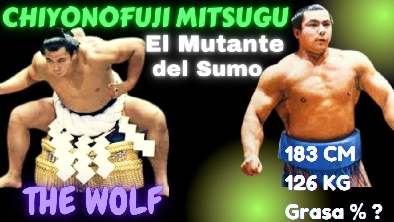 El curioso campeon de SUMO CHIYONOFUJI MITSUGU The Wolf/ El Luchador de ...