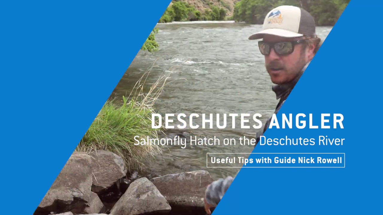 DESCHUTES RIVER SALMONFLY HATCH - Useful Tips with Guide Nick Rowell ...
