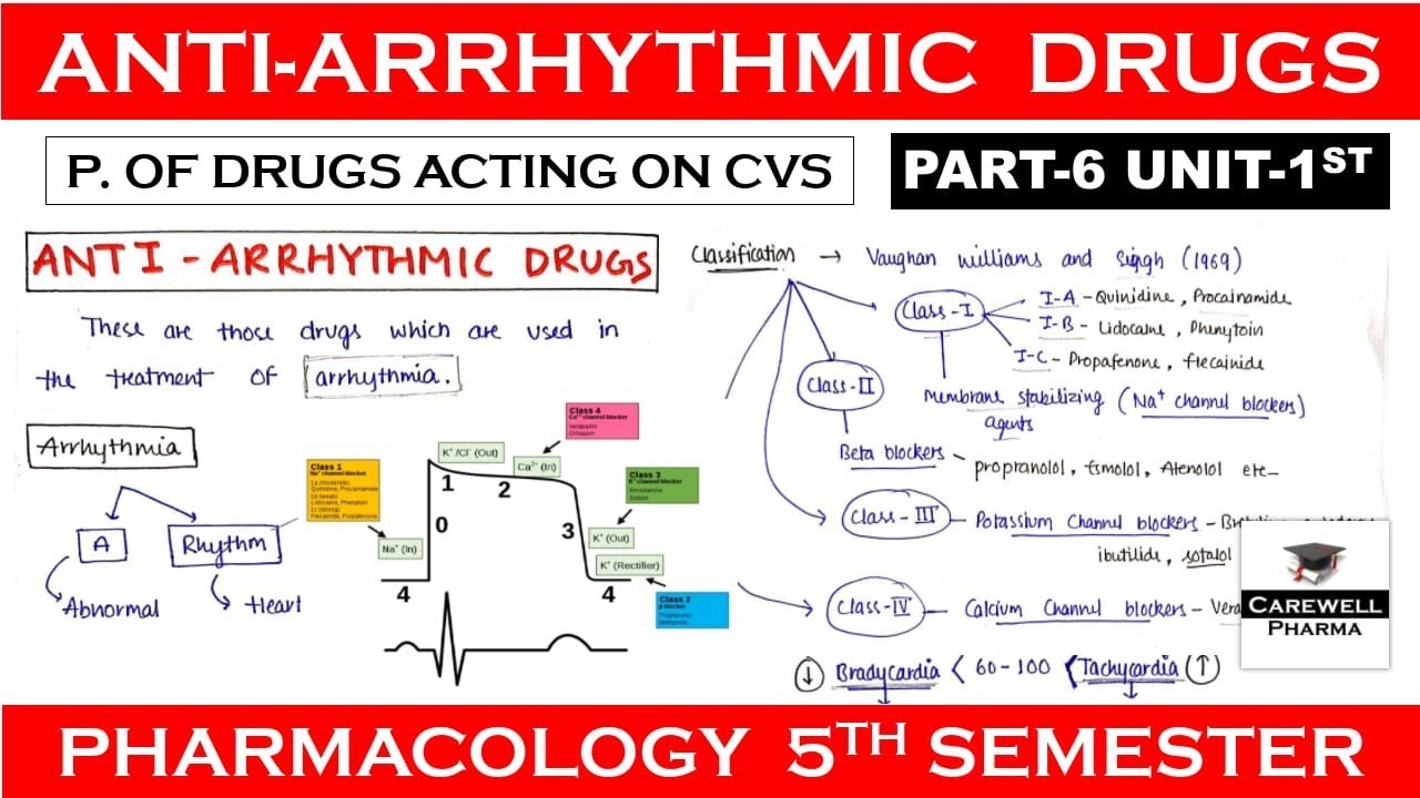 Antiarrhythmic Drugs (complete) || Part 6 Unit 1 || Pharmacology 5th ...