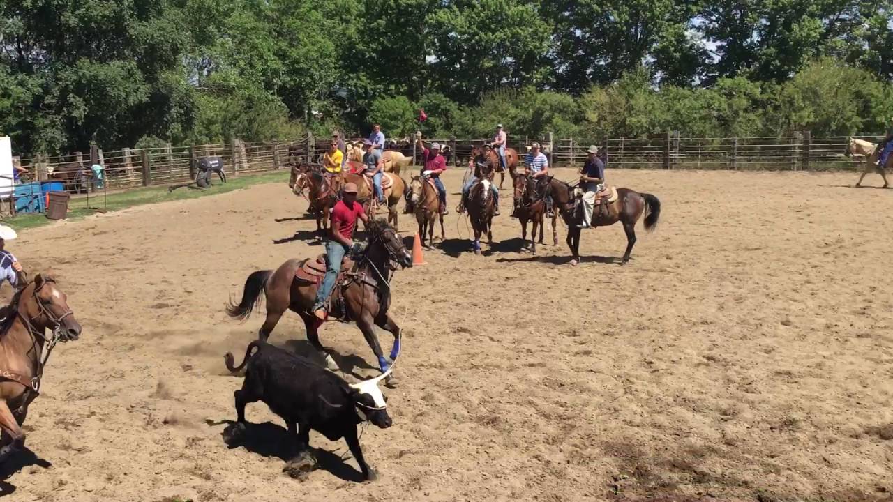 Clean catch 8/14/2016 - YouTube