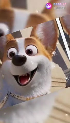 the queen's corgi rex play date edit - YouTube