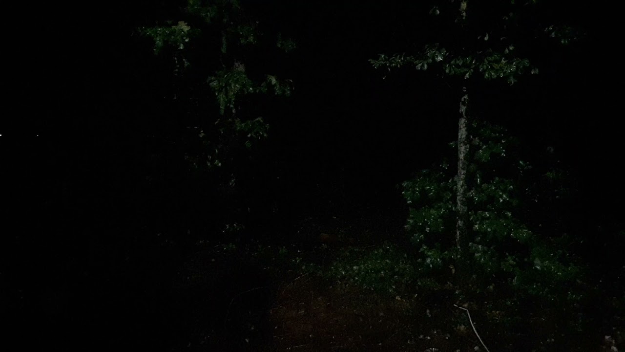 THE HOWLING RETURNS OCT 2021 DOGMAN BIGFOOT OR WEREWOLF - YouTube