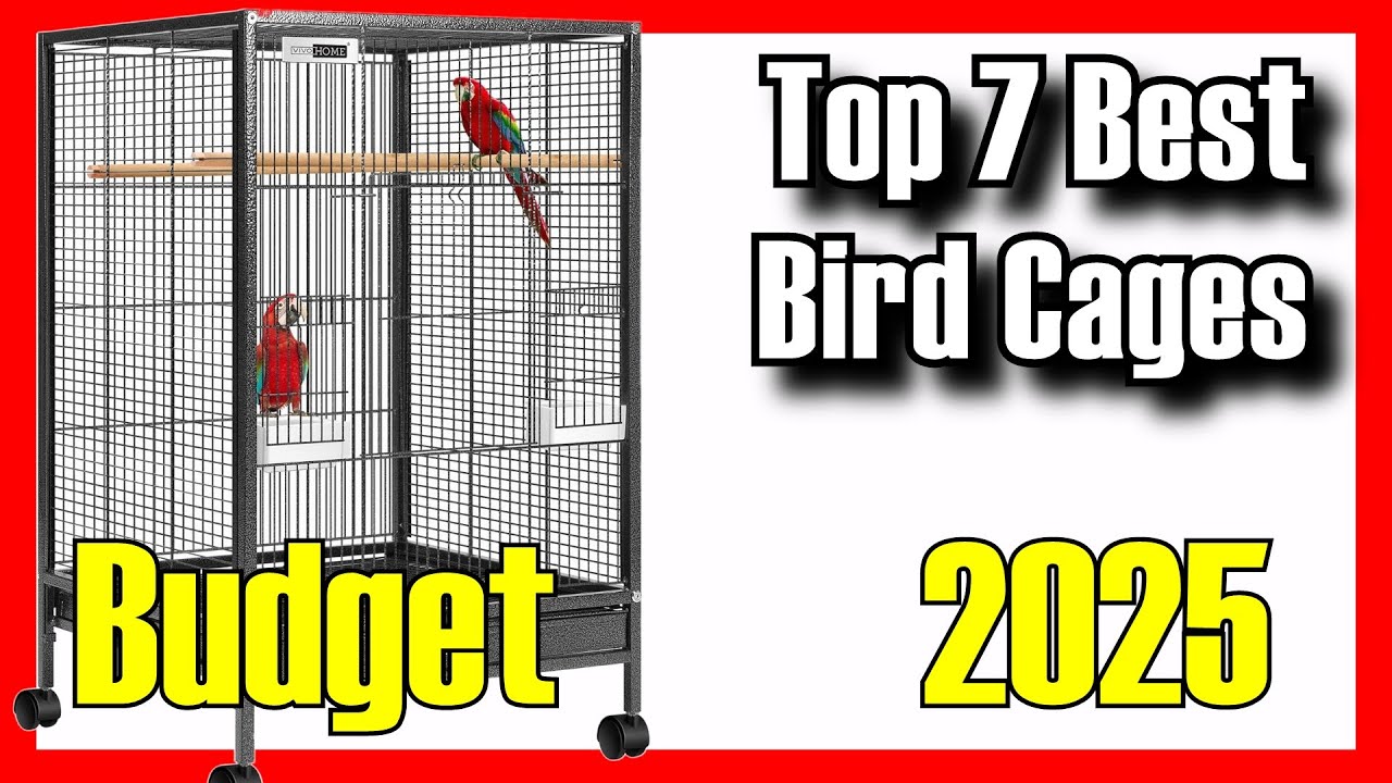 🐦🔥 TOP 7 BEST Budget Bird Cages to Buy on Amazon [2025] [Cheap] Bugdies ...