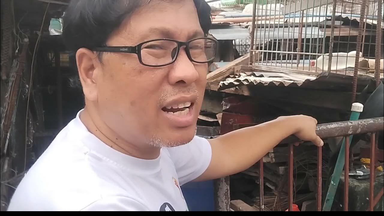 tibay talaga Ng youngbird - YouTube