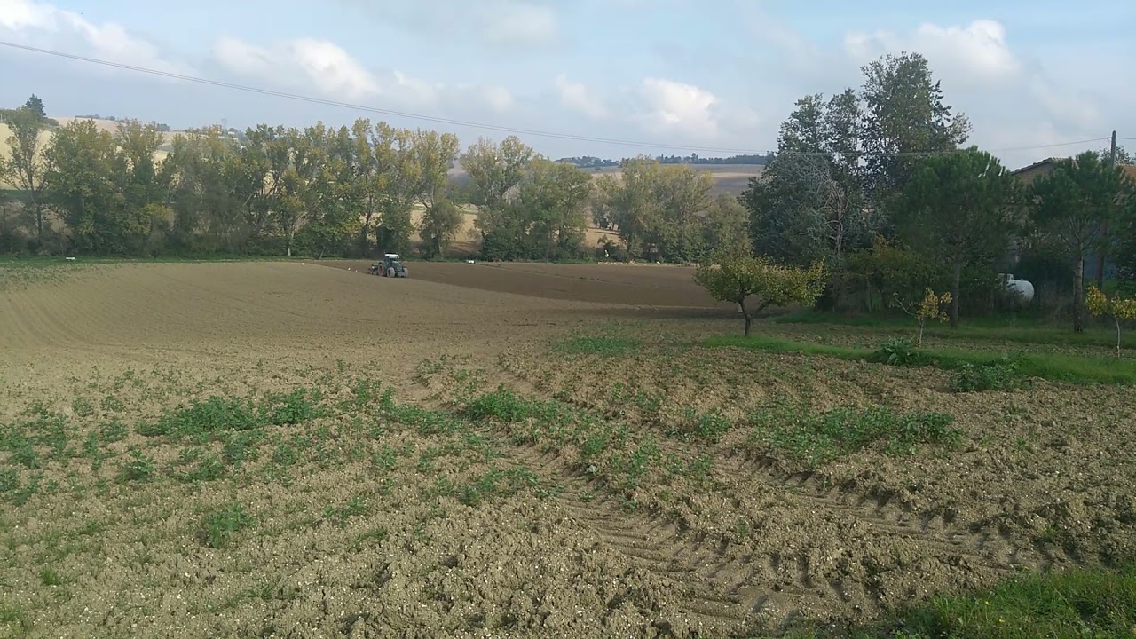 La semina del grano duro, il ristoppio e la zappa sui piedi. - YouTube