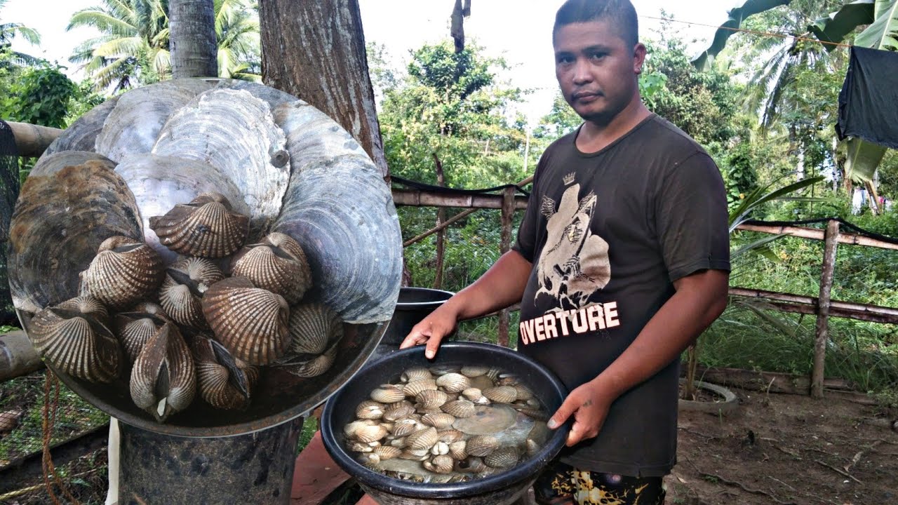 Cooking bakan and lampirong clams - YouTube