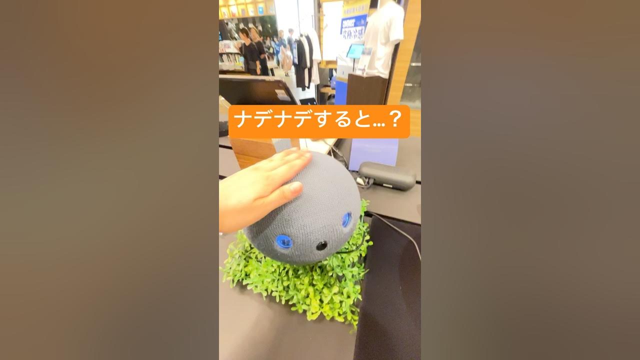 I petted and stroked a cute tadpole-shaped pet robot! #おたまじゃくし #ロボット ...