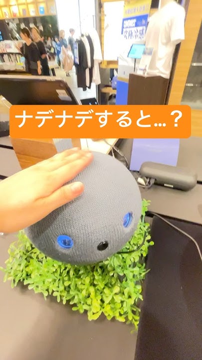 I petted and stroked a cute tadpole-shaped pet robot! #おたまじゃくし #ロボット ...