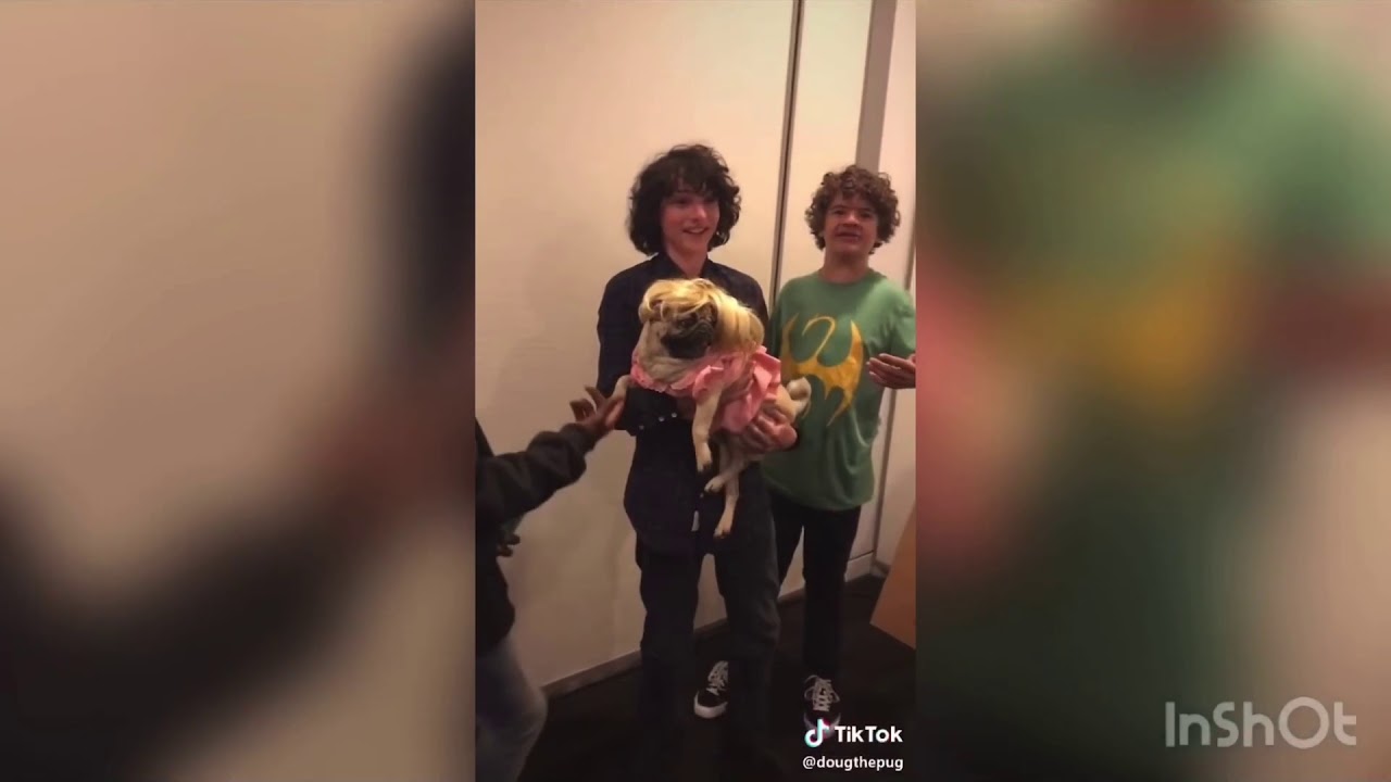 Stranger things Characters meet Doug the pug - YouTube