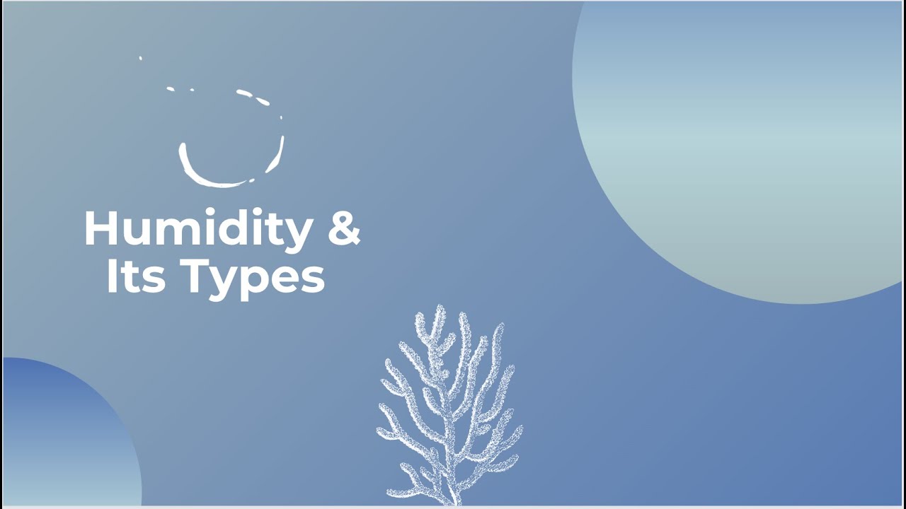 Humidity and its types - YouTube
