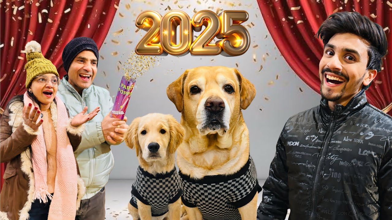 Happy New Year 2025 | Leo & Reo First time in Snow | Anant Rastogi - YouTube