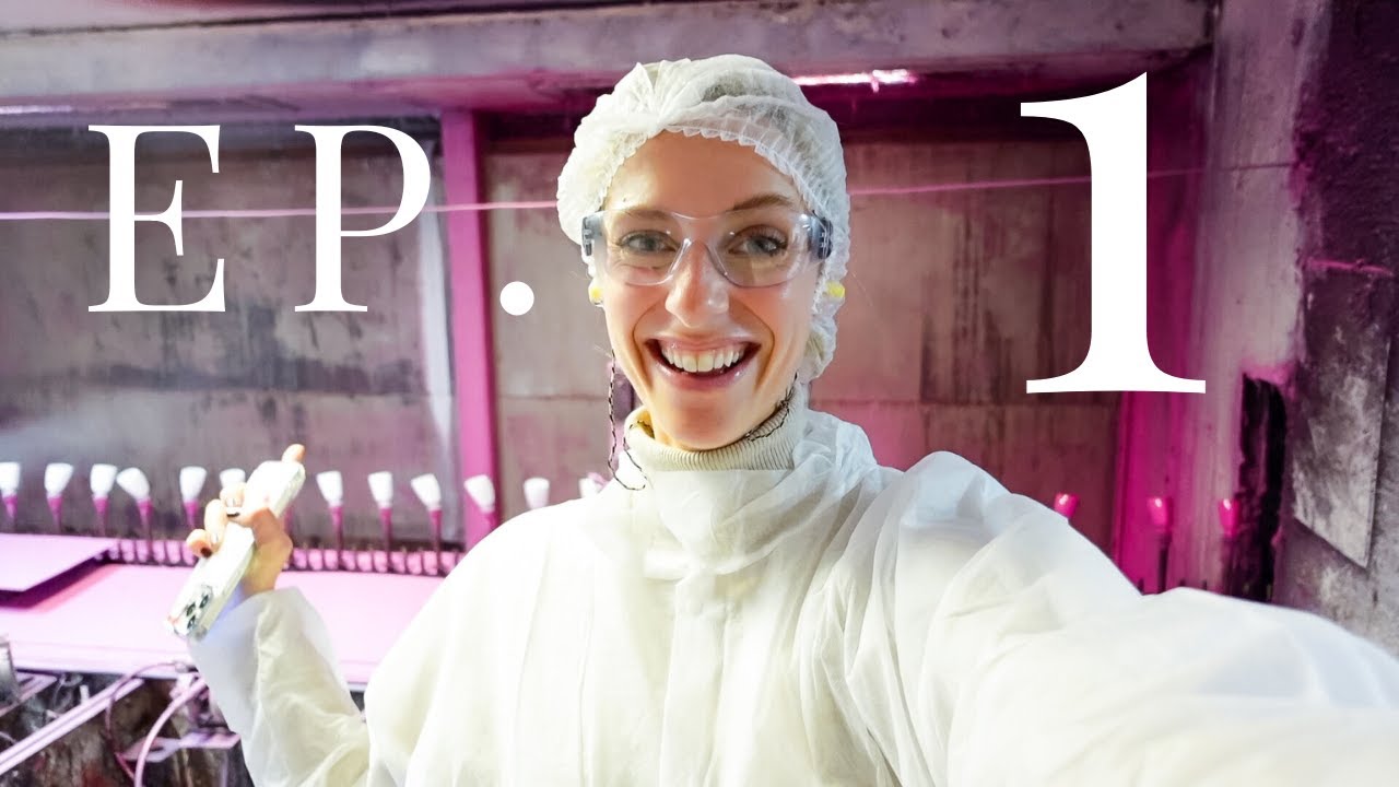 HOW PERFUME IS MADE | Episode 1: Glass bottle manufacturing process ...