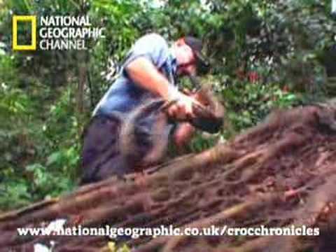 actual snake attack!!! - YouTube