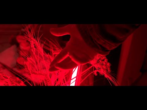Gökşin Derin - Hayat Arabam (Official Video)