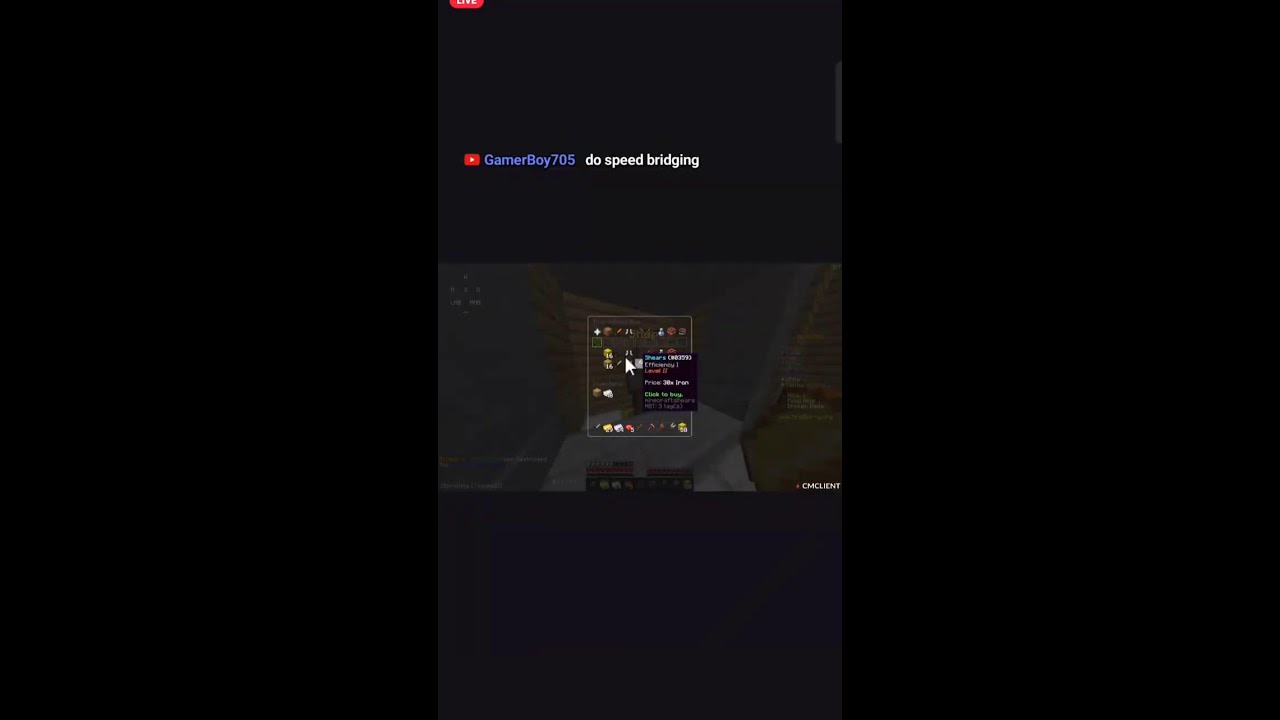 playing in Minecraft server with 1000 cps - YouTube