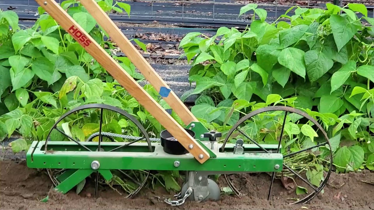 Crop Rotation for Year Round Food Production - YouTube