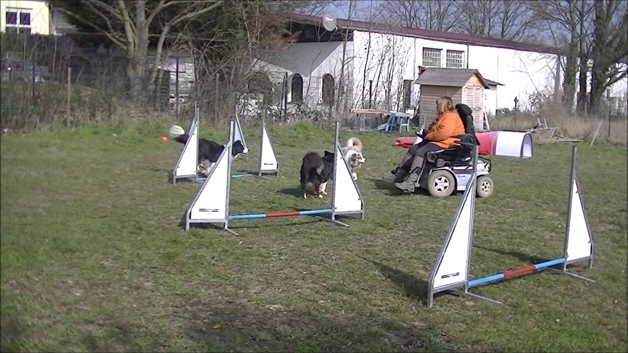 Agi Training 8 3 14 - YouTube