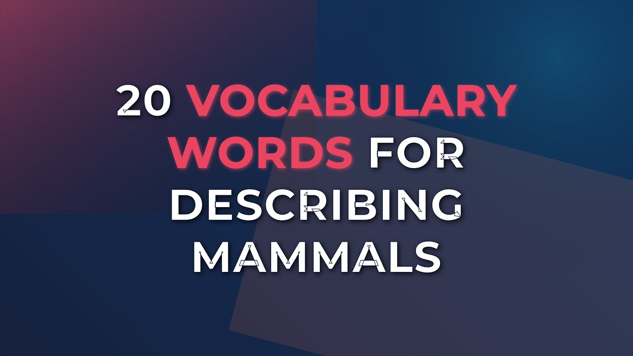 20 Vocabulary Words for Describing Mammals - YouTube