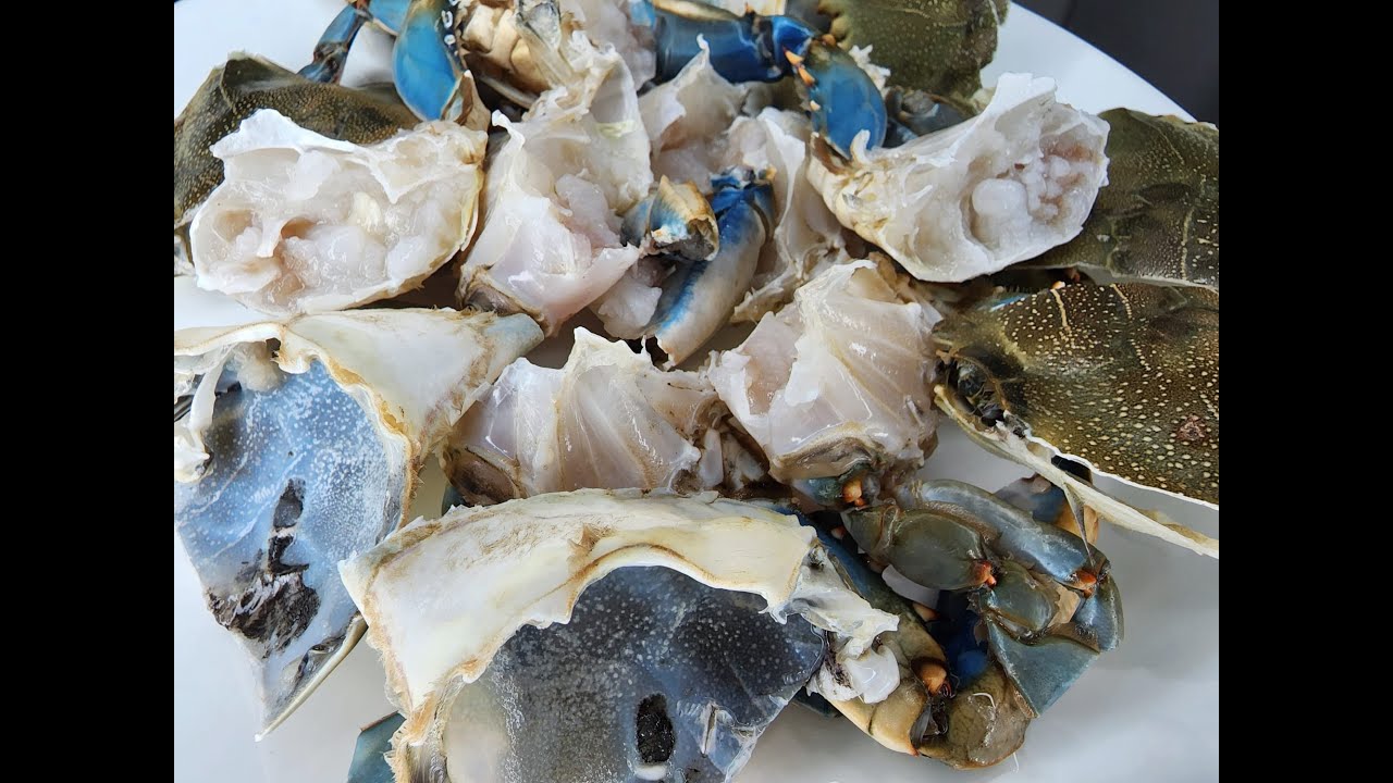 Cooking live crab for the first time? #crab #cookwithme - YouTube
