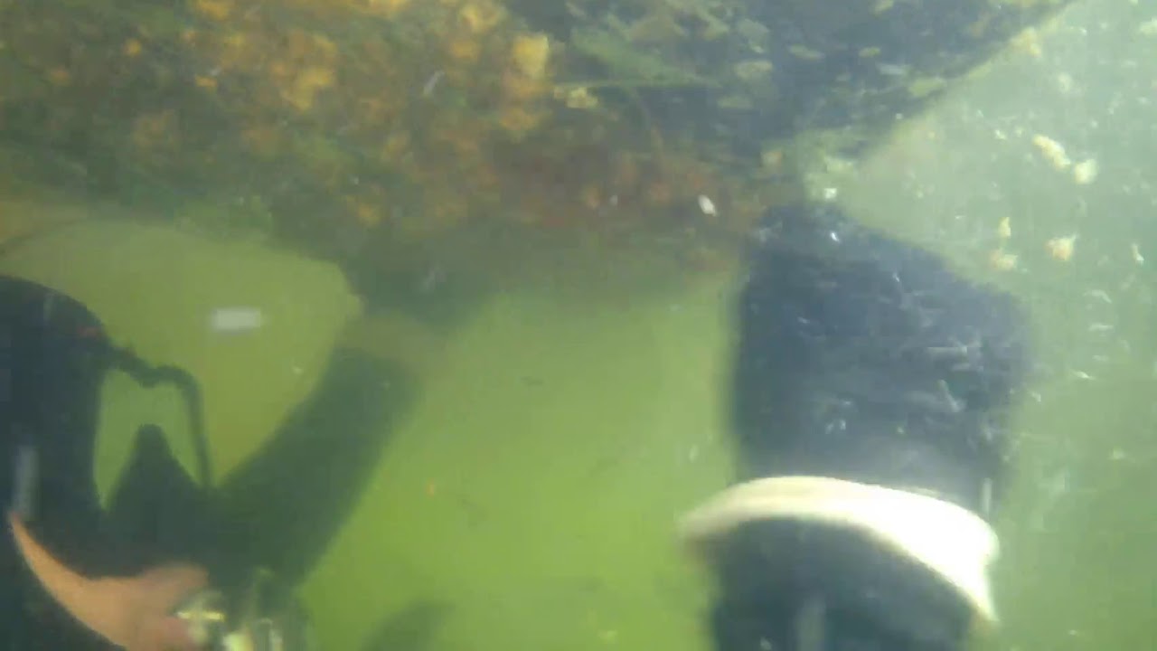 Floating dock underwater cleaning - YouTube