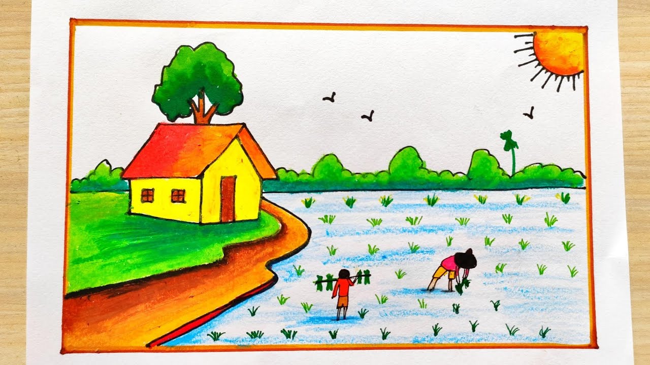 Paddy Field Scenery Drawing easy | How to Draw Paddy Field Scenery ...