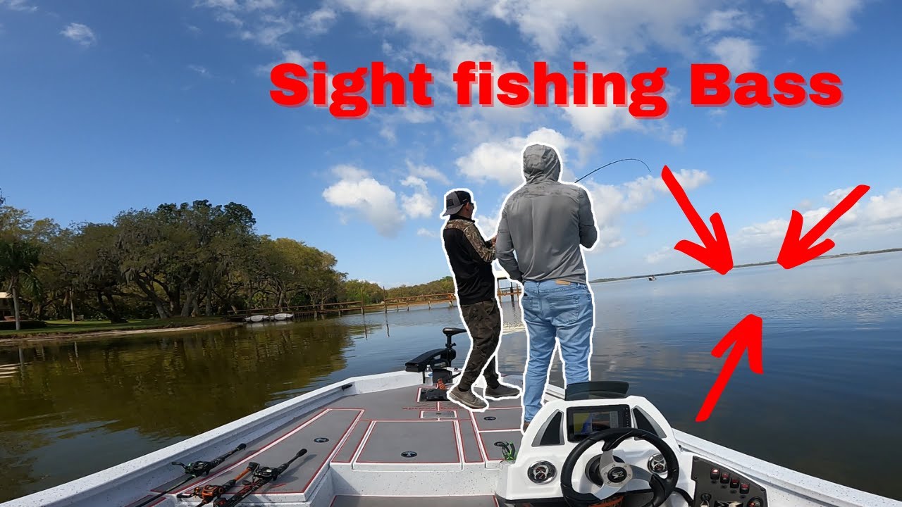 Sight fishing on Lake Yale, Eustis Florida! (Harris Chain of Lakes ...